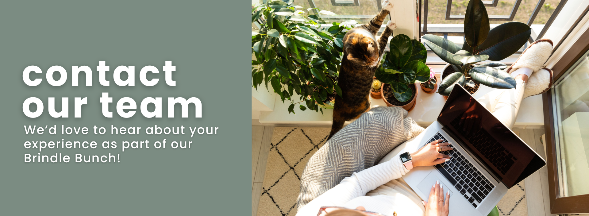 Contact Us | Brindle Pet Supplies