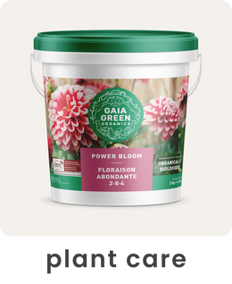 Brindle Pet Supplies - Pet Supplies Delivered to Your Door!